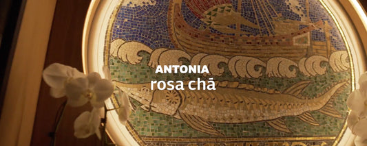 ROSA CHA: EXCLUSIVE DINNER AND DEBUT